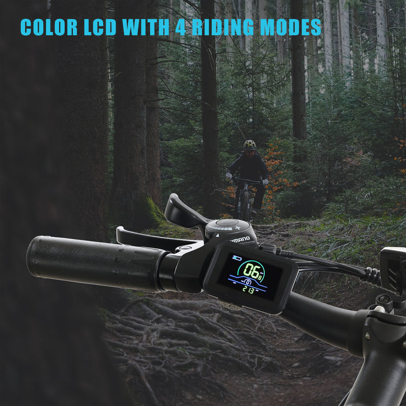 Totem Volcano Electric Mountain Bike