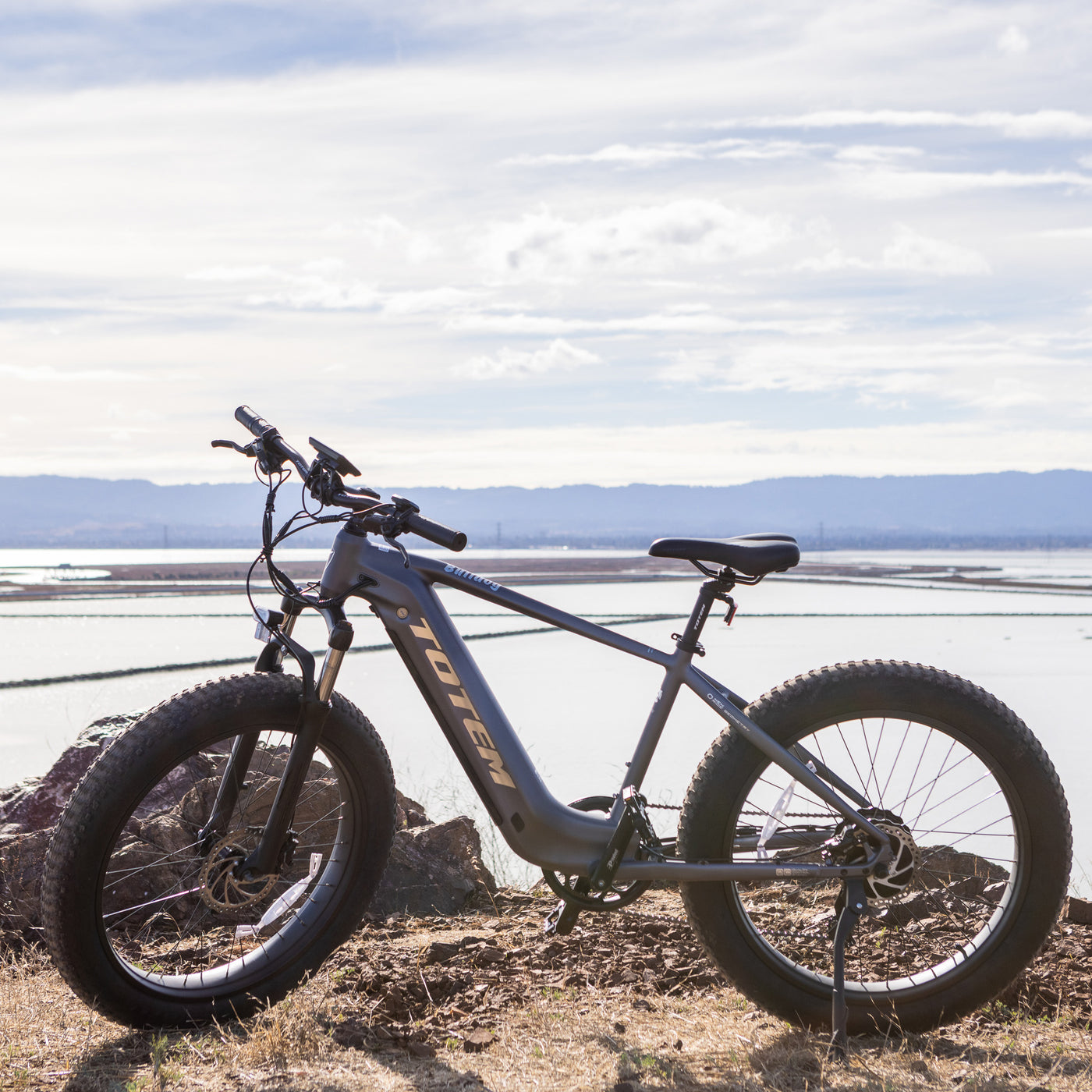 Totem Bulldog Fat Tire Electric Mountain Bike