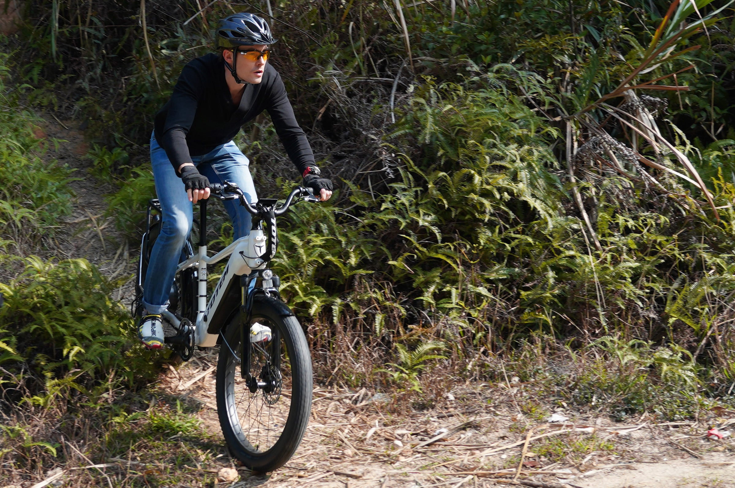Totem Ranger Fat Tire Electric Bike