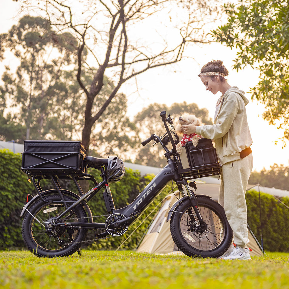 Totem Victor Ebike Battery