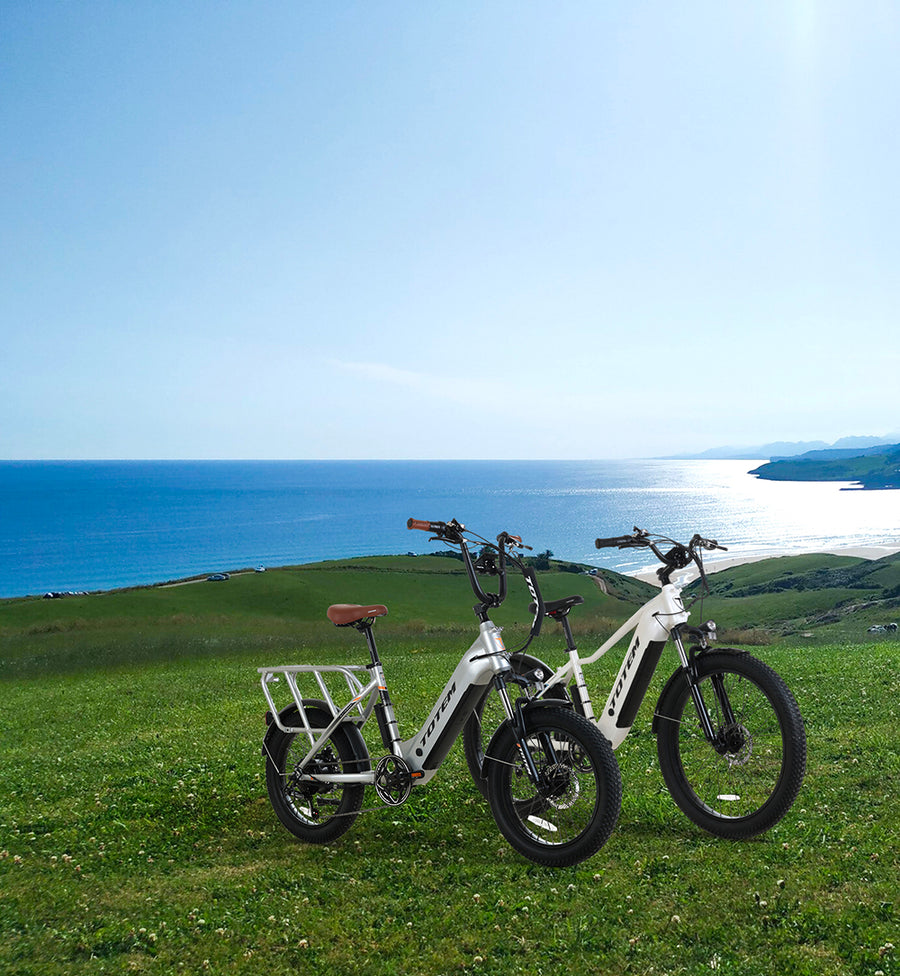 Totem Bikes | Premium Ebikes That Everyone Can Afford