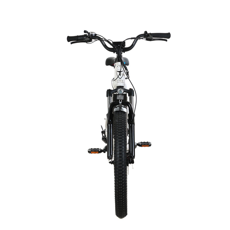 Totem Ranger Fat Tire Electric Bike